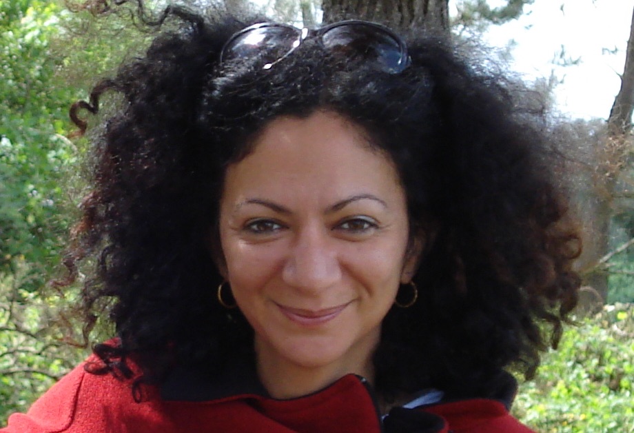 Text and Context: Translating in a State of Emergency | Mona Baker