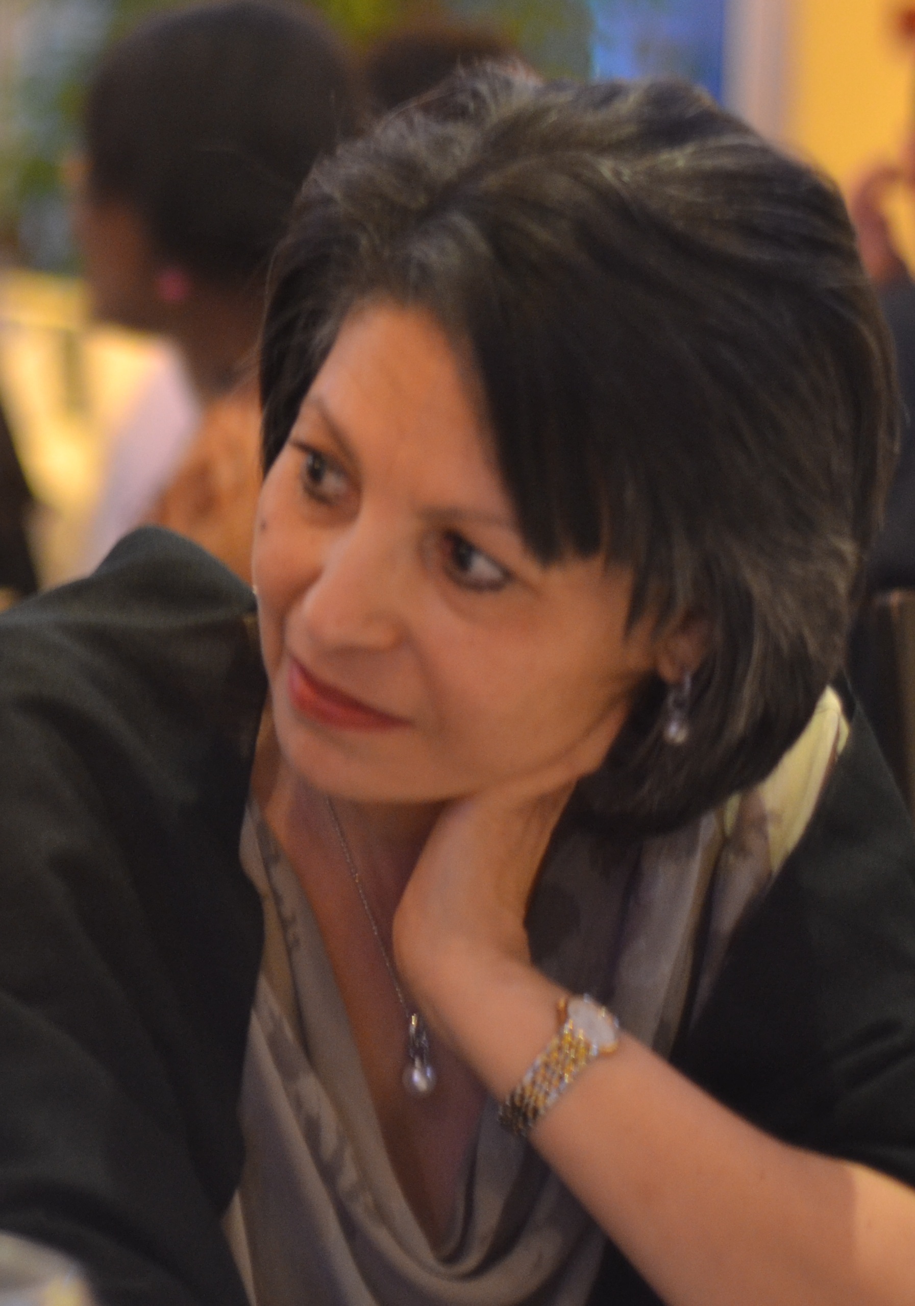 Translation, Representation, and Narrative Performance | Mona Baker